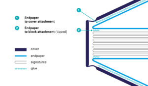 What Are Endpapers? Types, Functions and Printing Options – Blog Books ...